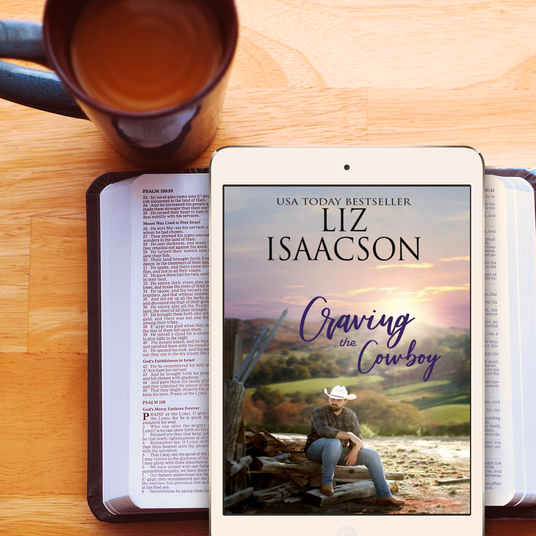 Book 1: Craving the Cowboy (Grape Seed Falls Romance) – Clean Reads and ...