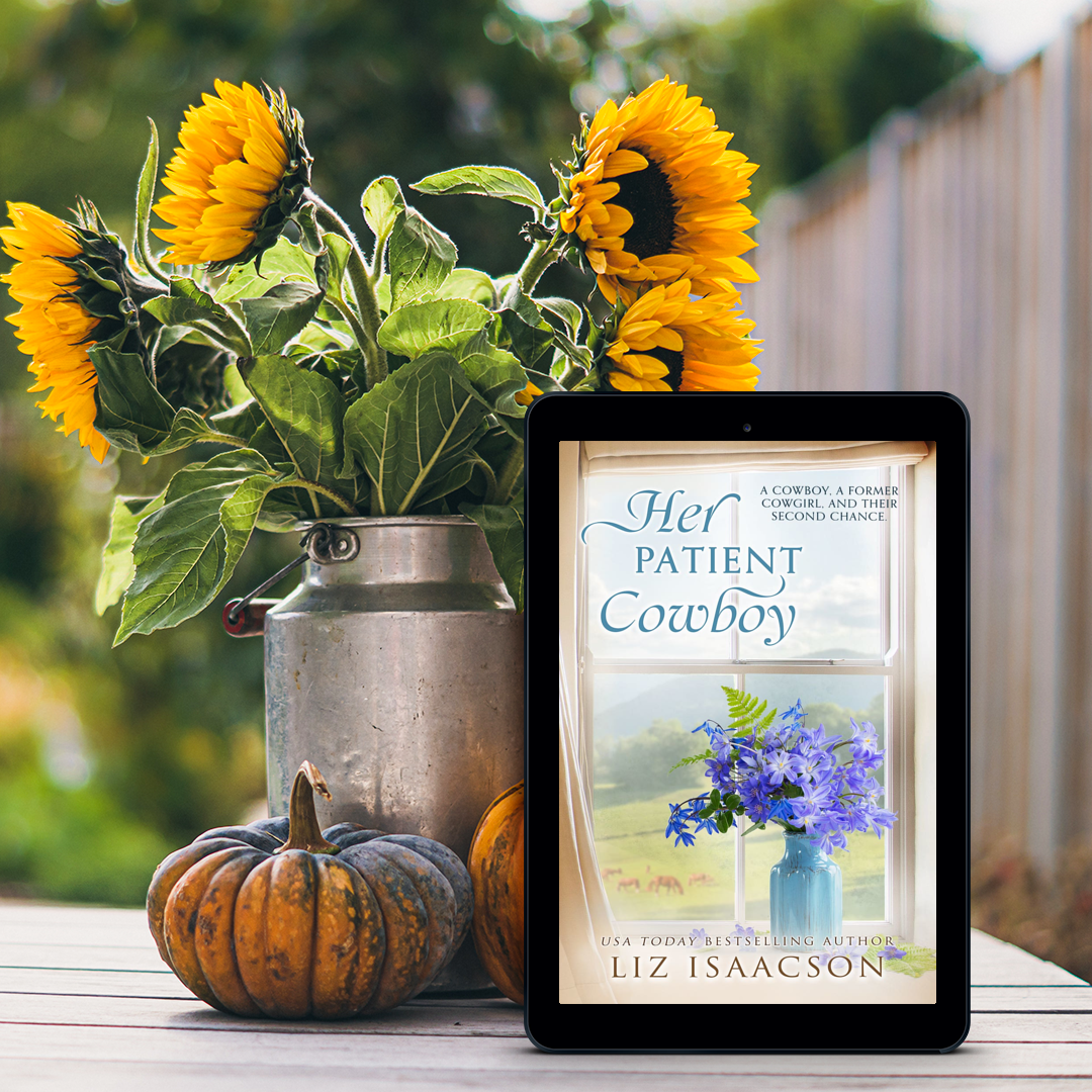 Steeple Ridge Farm Romance Complete 5-eBook Bundle – Feel-Good Fiction ...