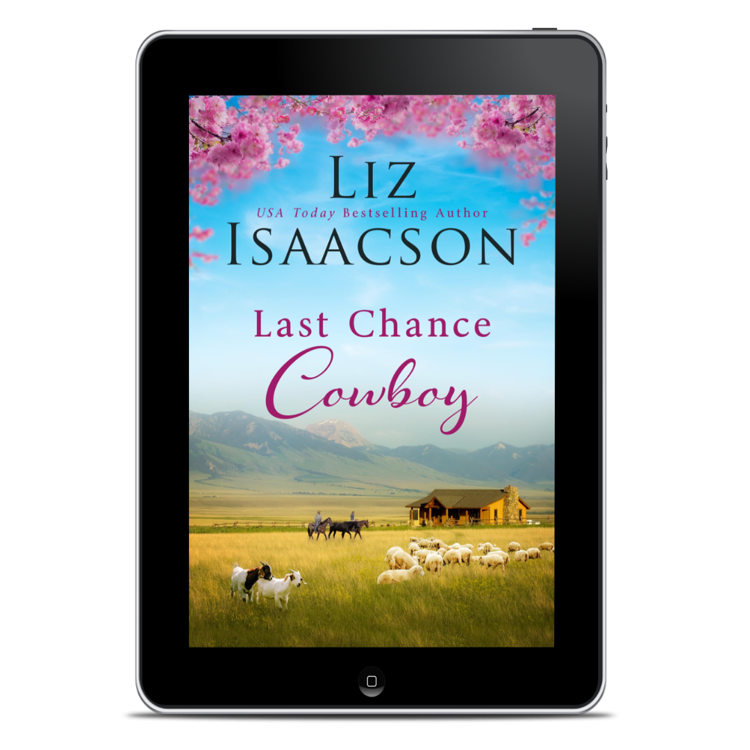 Last Chance Ranch Complete 6-Audiobook Bundle – Clean Reads and ...